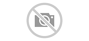 acsearch.info - Auction research